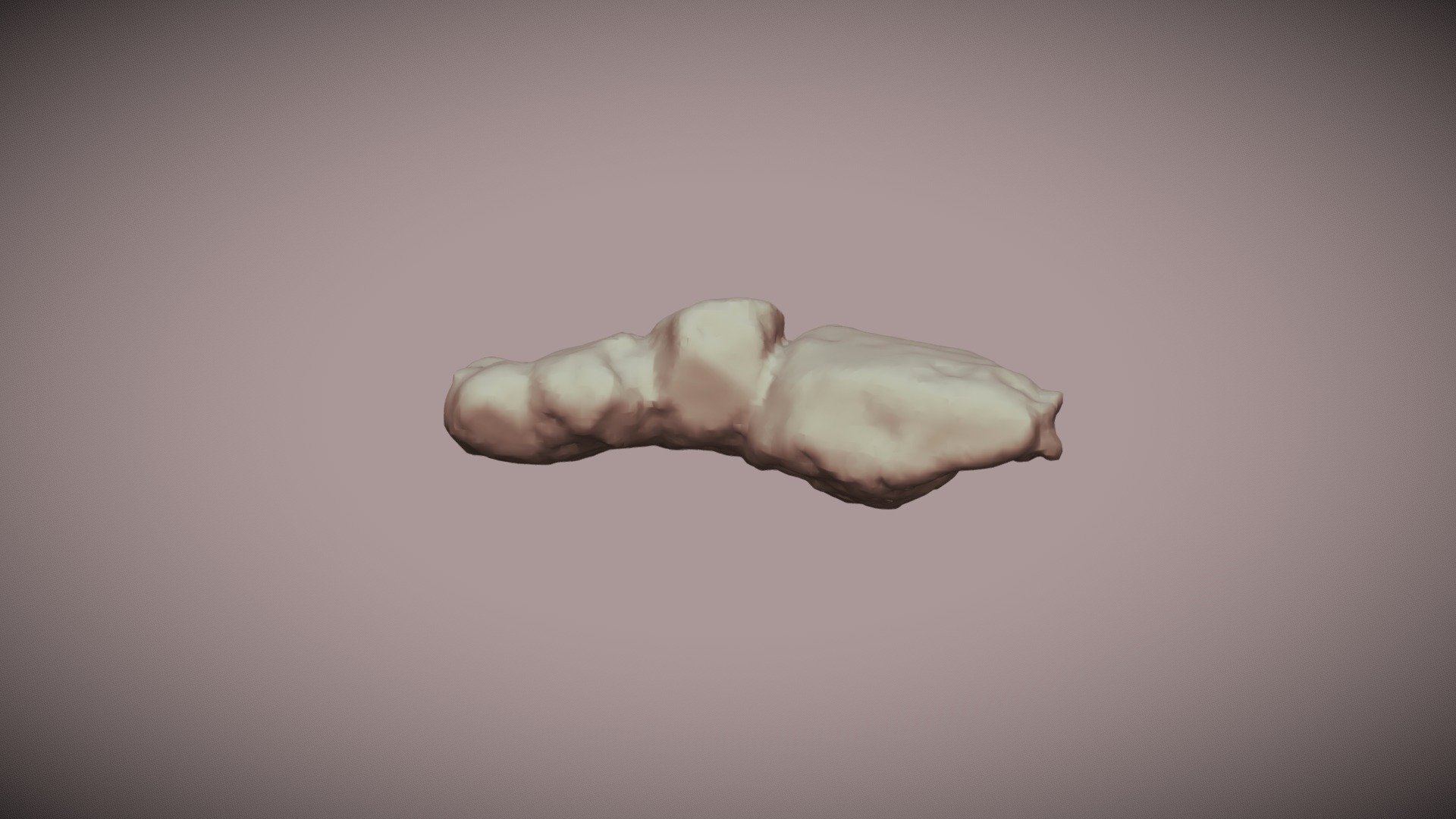Coccyx - 3D model by OrJames Labs (@orjameslabs) [d16dee3] - Sketchfab