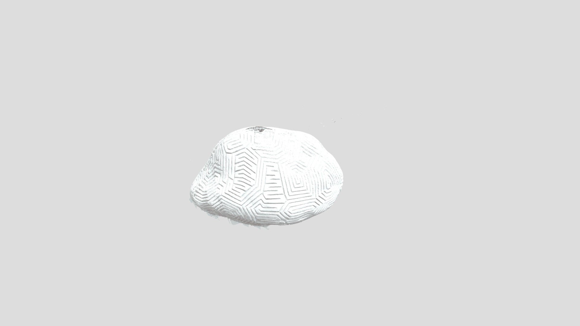 Brain Rock - SMALLER - Download Free 3D model by kebouck [d173189 ...