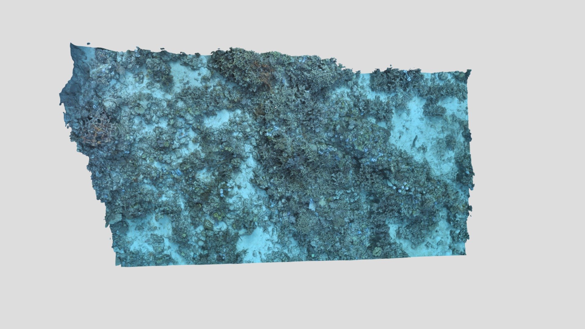 Davies_FL1D_P3_202201 - 3D model by EcoRRAP (@AIMSEcoRRAP) [d17f98d ...