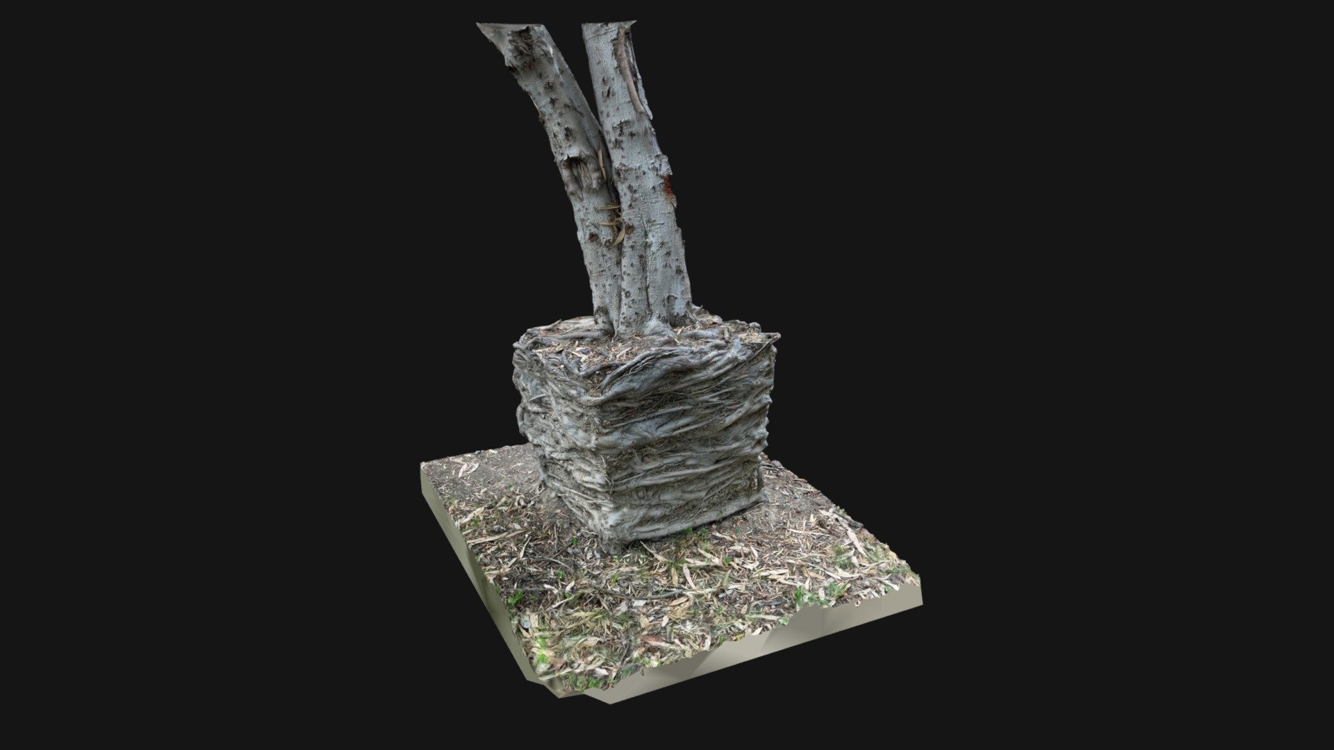 Square Tree Roots - Download Free 3D model by garagestudios [d18e25f ...