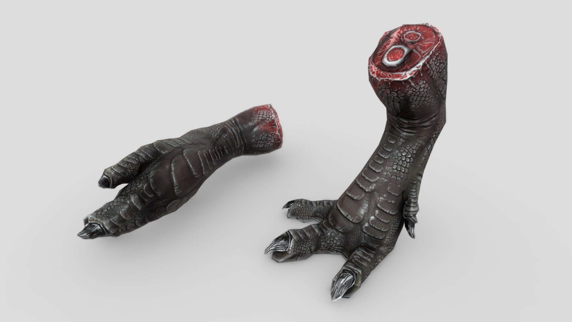 Severed Dino or Dragon Leg Prop - Buy Royalty Free 3D model by Jazz ...