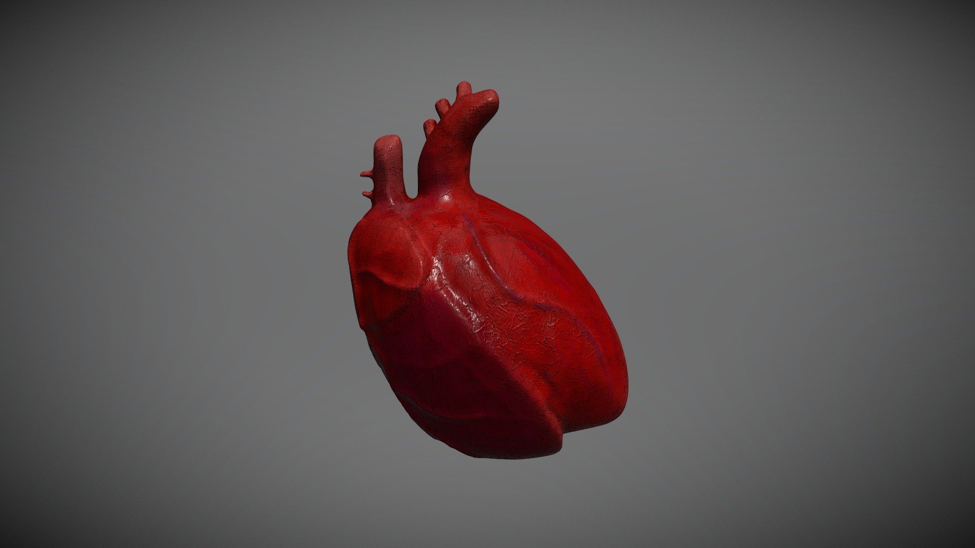heart - Download Free 3D model by otiga [d19b1f4] - Sketchfab