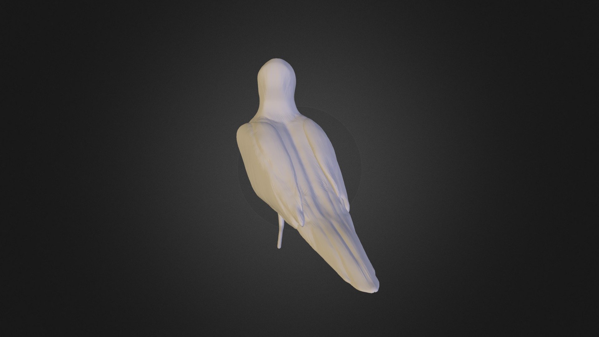 Seagull_perched_LOW_larger_body - 3D model by Lee (@leeallanwilliamson ...