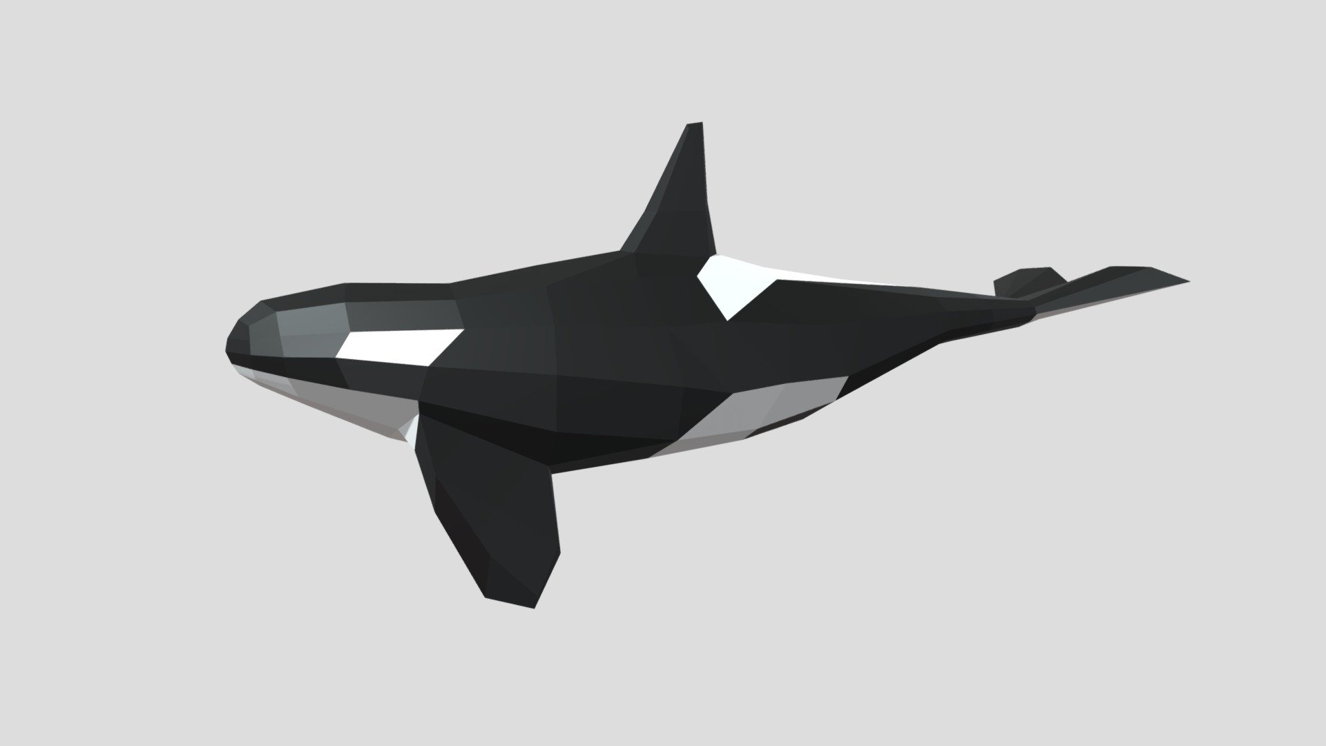 Low poly Orca whale - 3D model by wiko.glitch (@3d_vicka) [d19f47f ...