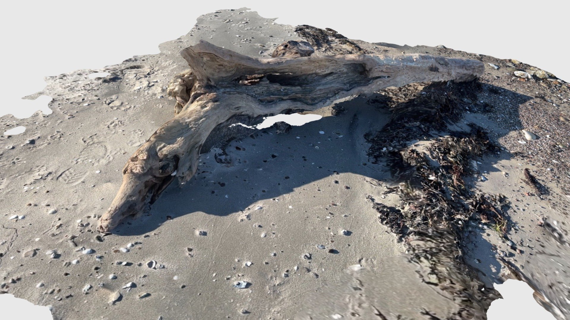 Scaniverse Model - Download Free 3D model by JFM P/S (@jfm3d) [d1a2833] - Sketchfab