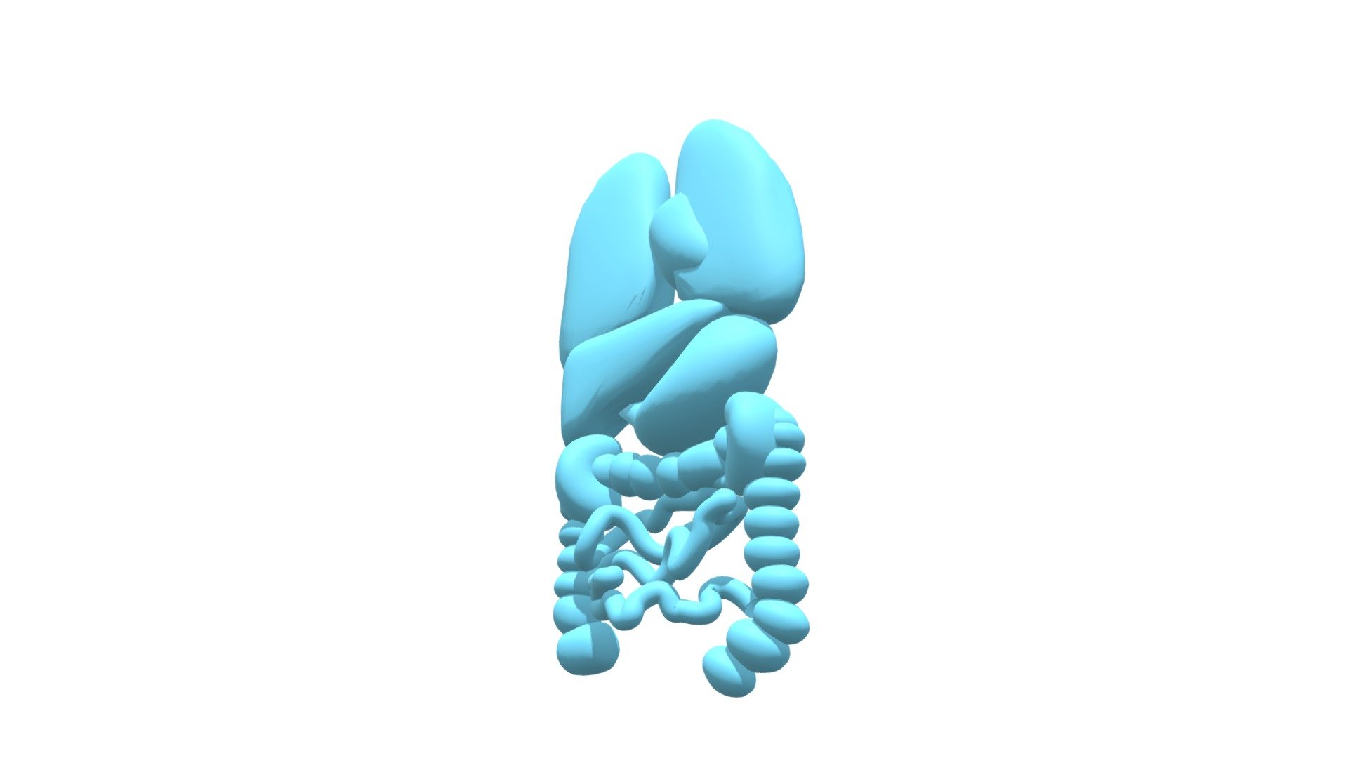 EMC_organs - 3D model by rinmyzk0214 [d1a6ba5] - Sketchfab