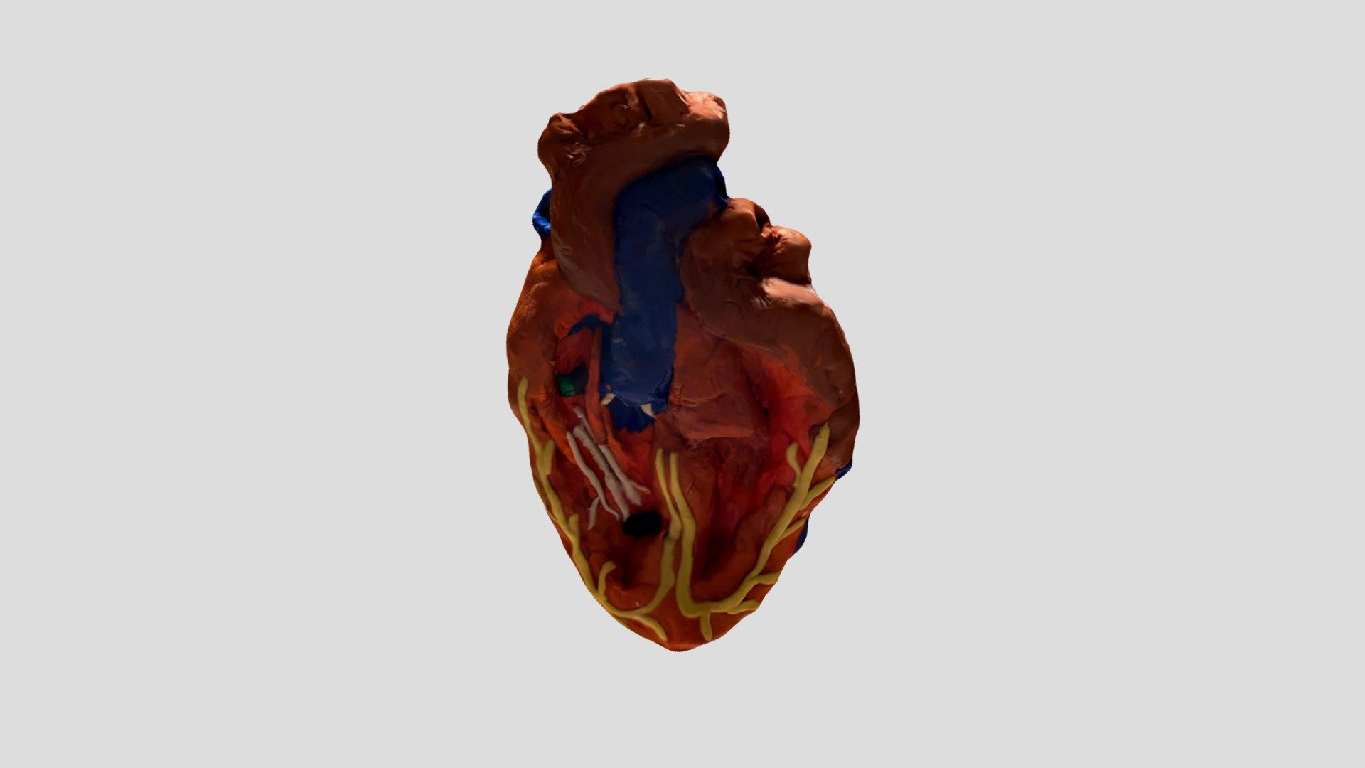 Heart model - Download Free 3D model by Yagmurkara123 [d1ab086] - Sketchfab