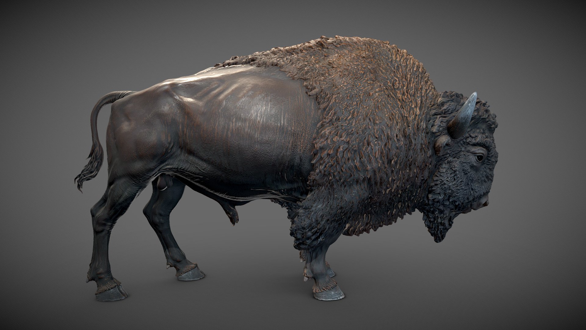 Bison - 3D model by BreathTime [d1abddc] - Sketchfab