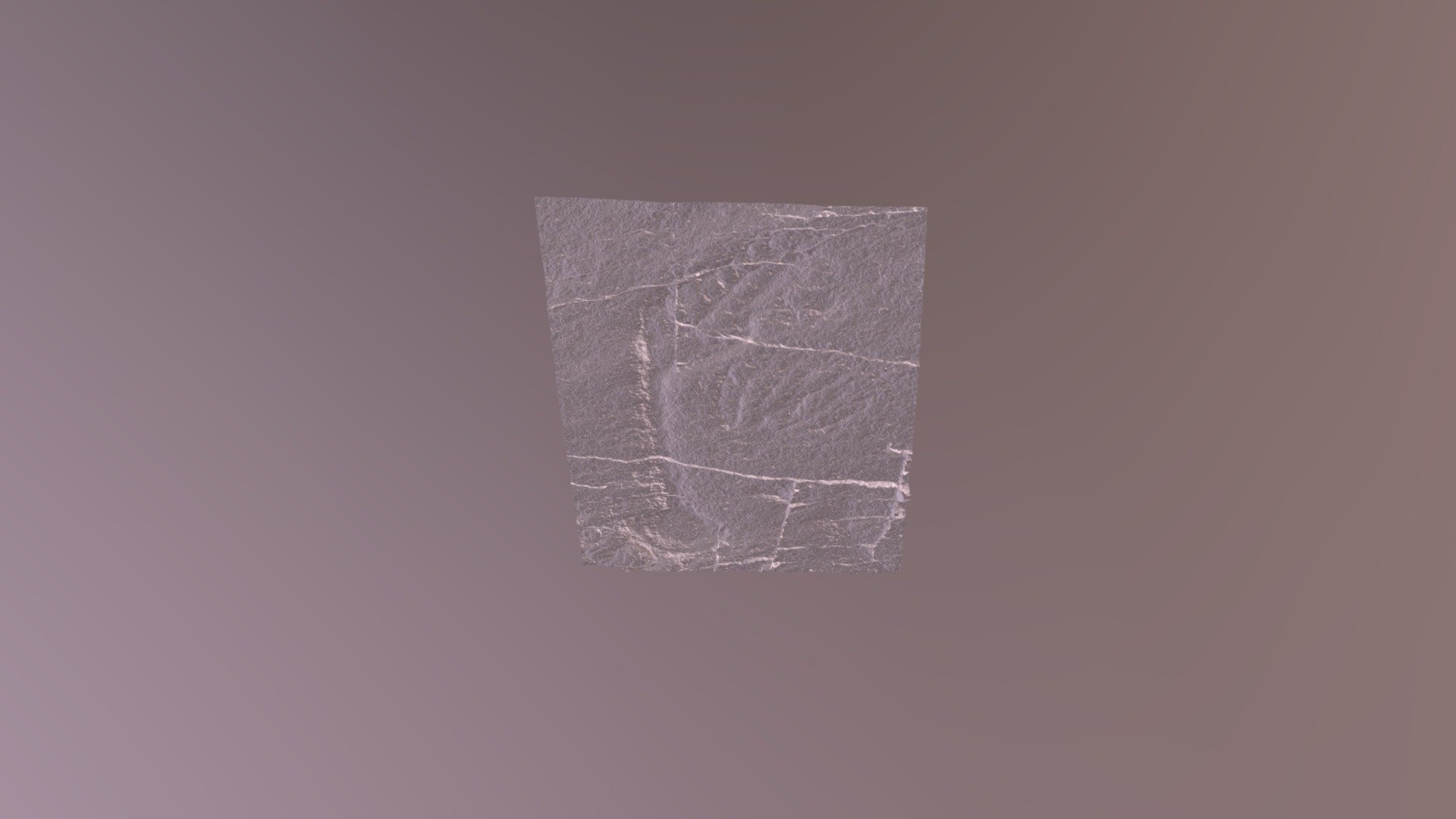 Charniodiscus and Bradgatia from Mistaken Point - 3D model by Emily G ...