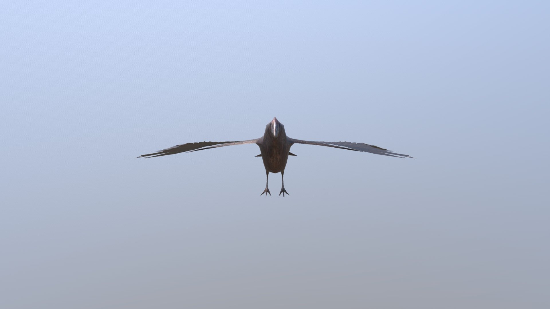 Crow - 3D model by Virtual Reality (@simulanis) [d1b0805] - Sketchfab
