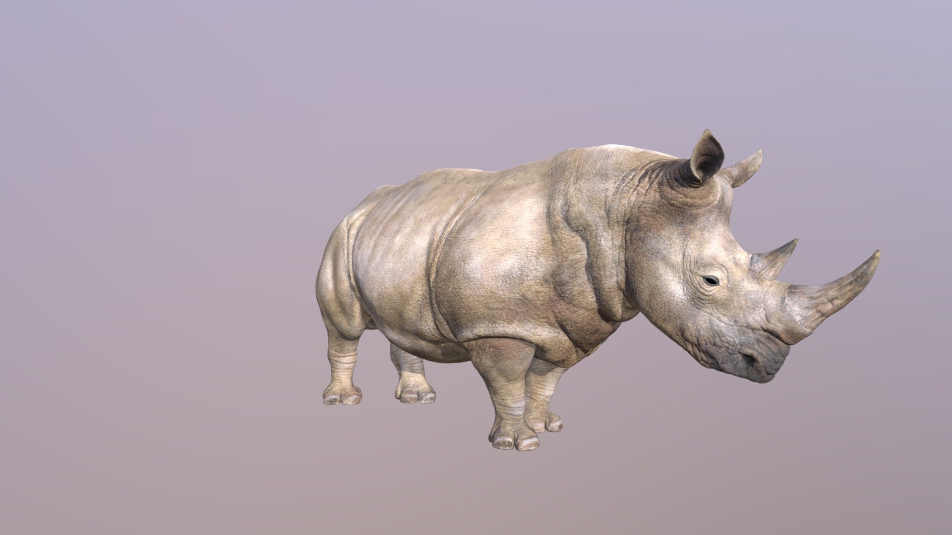Animated rhino - 3D model by elly77ellison (@elly77ellison) [d1b21f7 ...