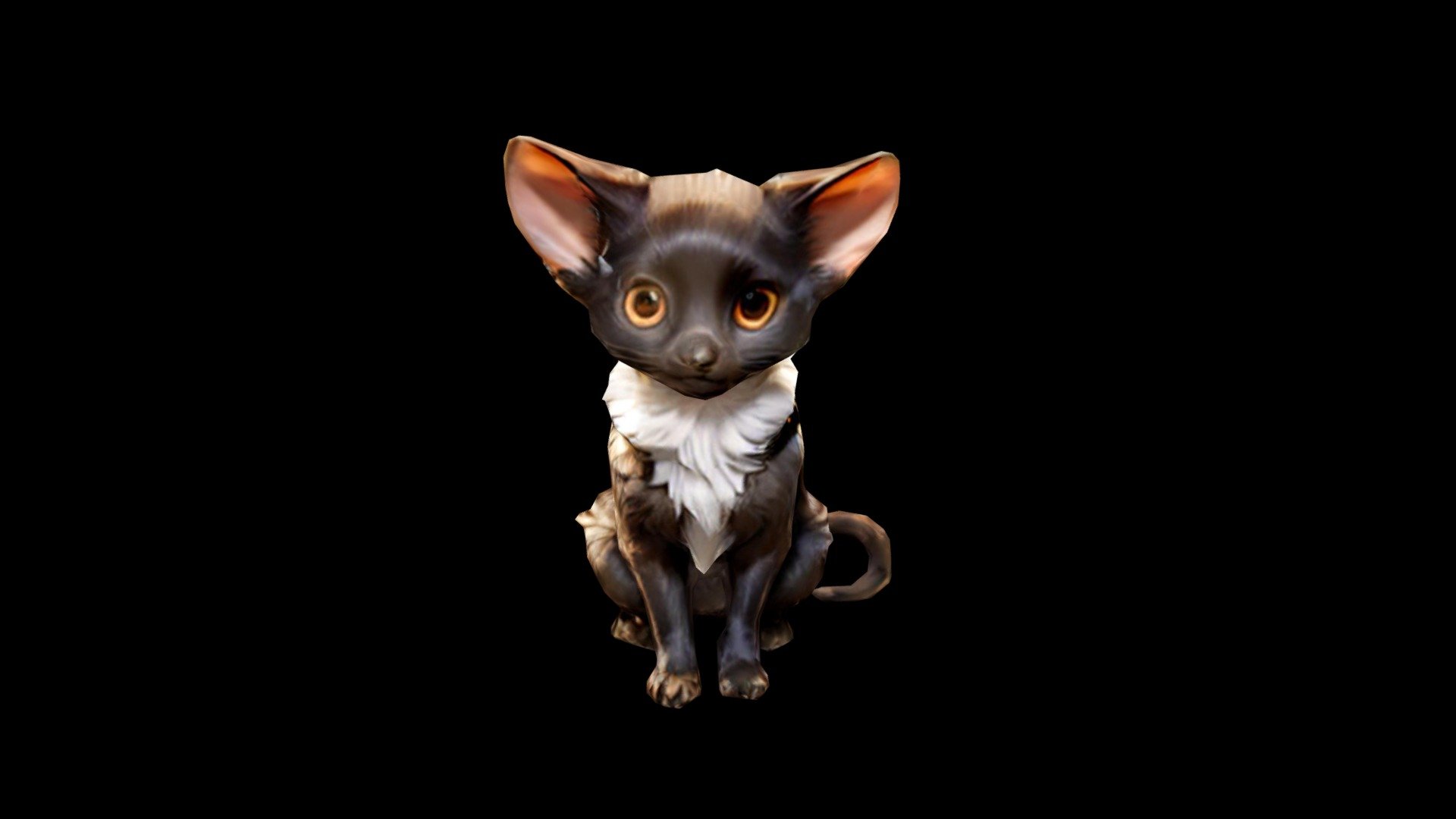 "Feline Features A Study in Whiskers, Iris, and - Download Free 3D ...