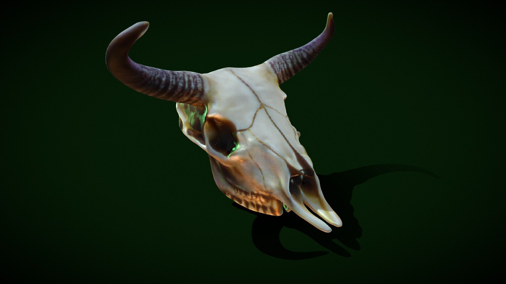 horned animal skull - Buy Royalty Free 3D model by scorp (@sumanthsshet ...