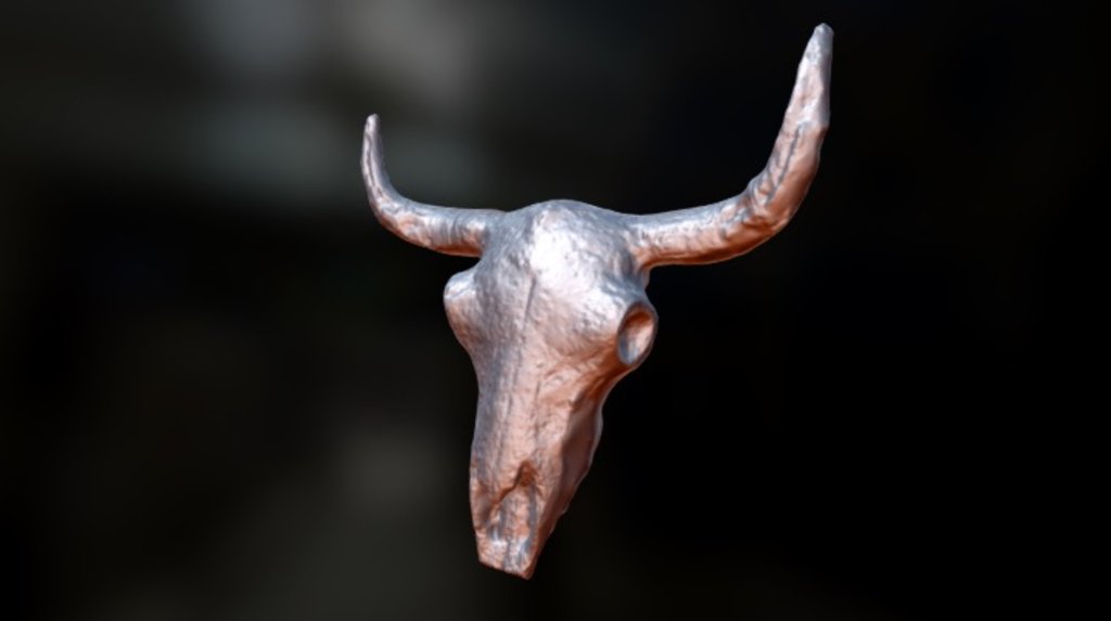 Scull - 3D model by jjnelly93 [d1c181b] - Sketchfab