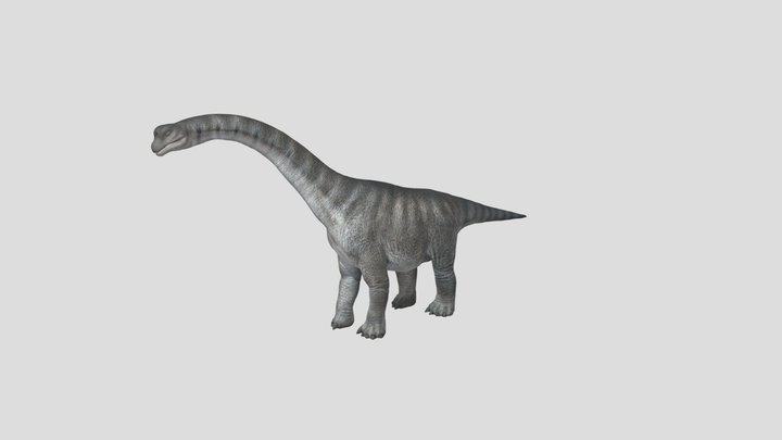Brachiosaurus 3D models - Sketchfab