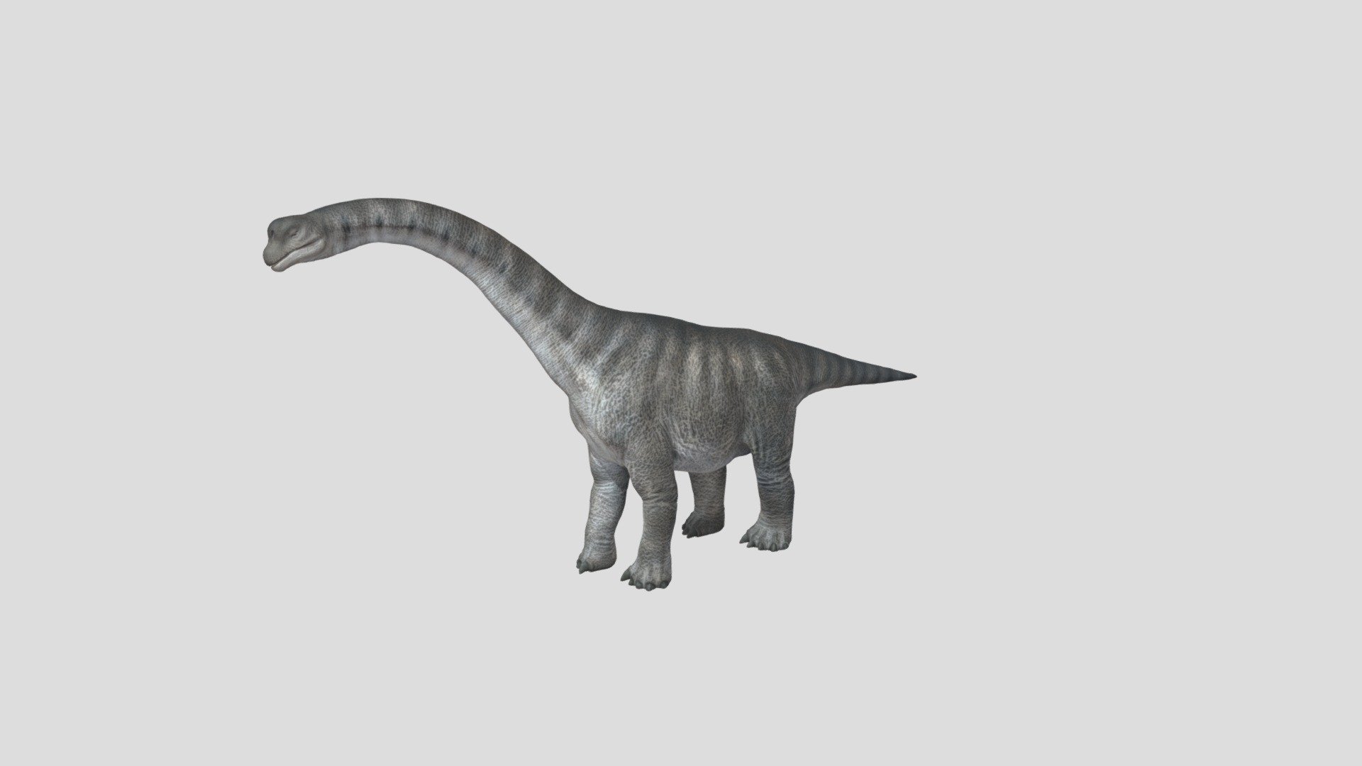 Brachiosaurus - 3D model by kenchoo [d1cda14] - Sketchfab