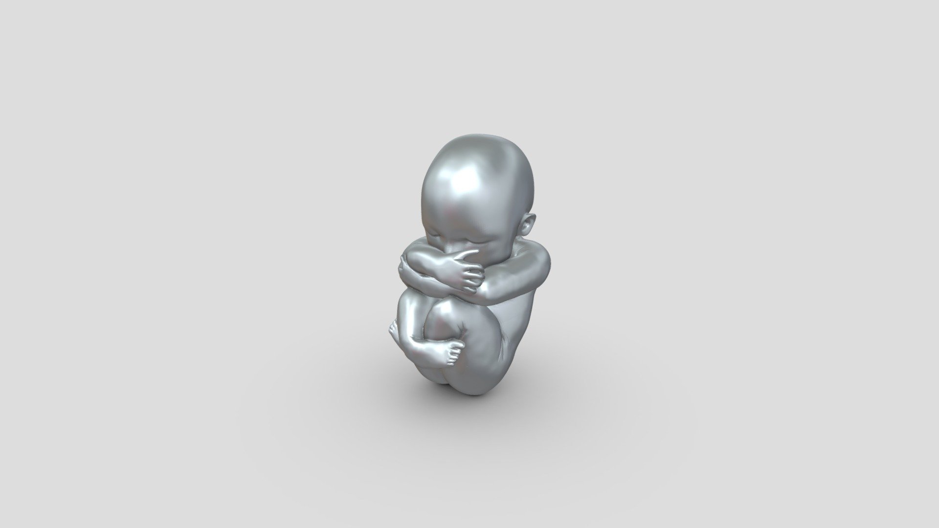 Fetus - 3D model by stella.apparatus [d1ceb3c] - Sketchfab