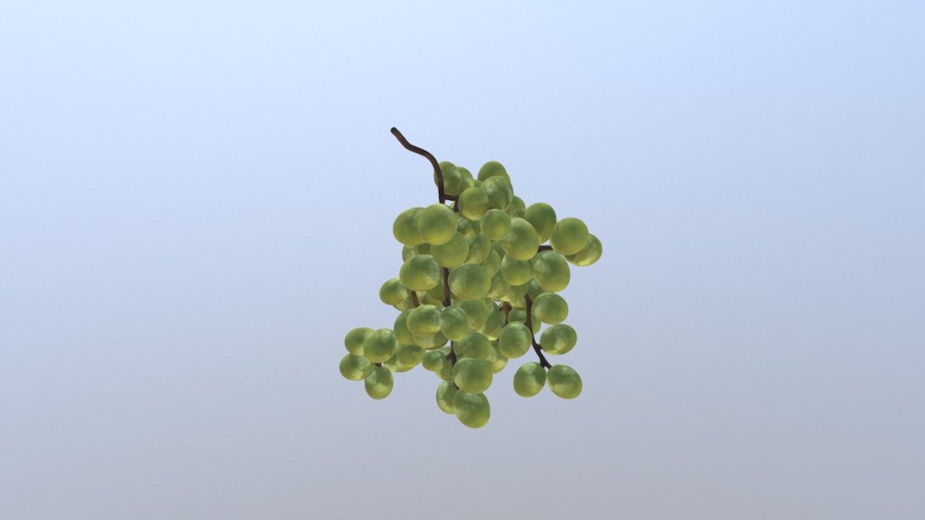Grapes - 3D model by quintessentialbread [d1d6c16] - Sketchfab