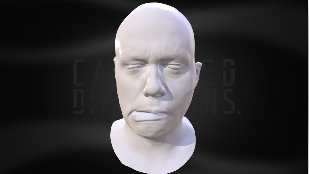 Life Cast Bust - 3D model by captureddimensions [d1d7245] - Sketchfab