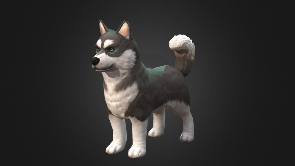 husky dog - 3D model by Nabil (@elwany) [d1dcf24] - Sketchfab