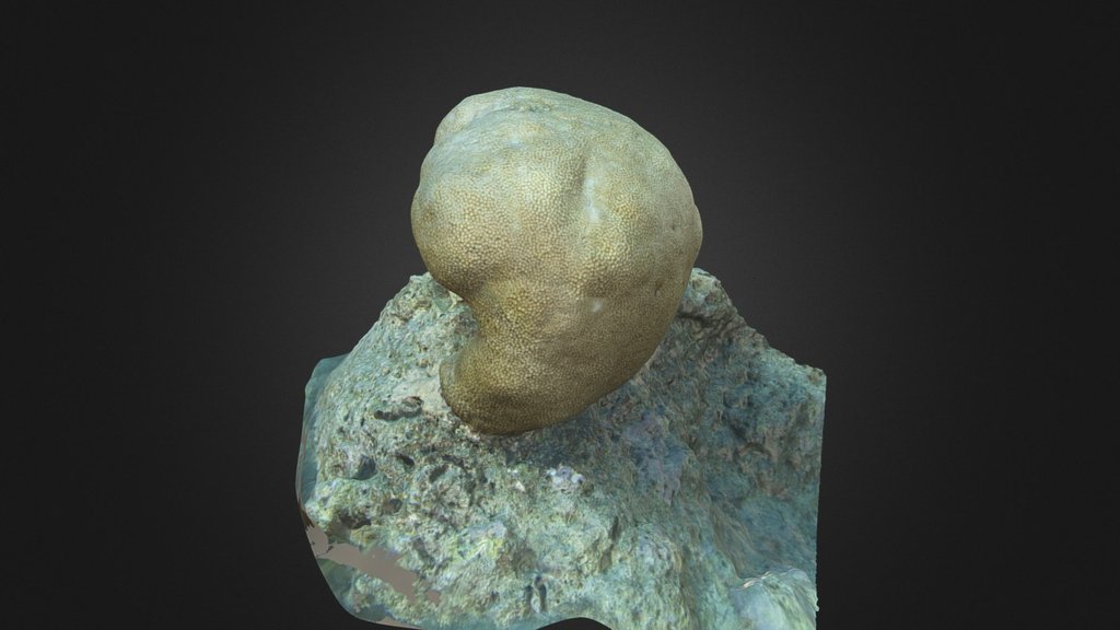 Maldives #1 - 3D model by yasmeensmalley [d1e46a0] - Sketchfab