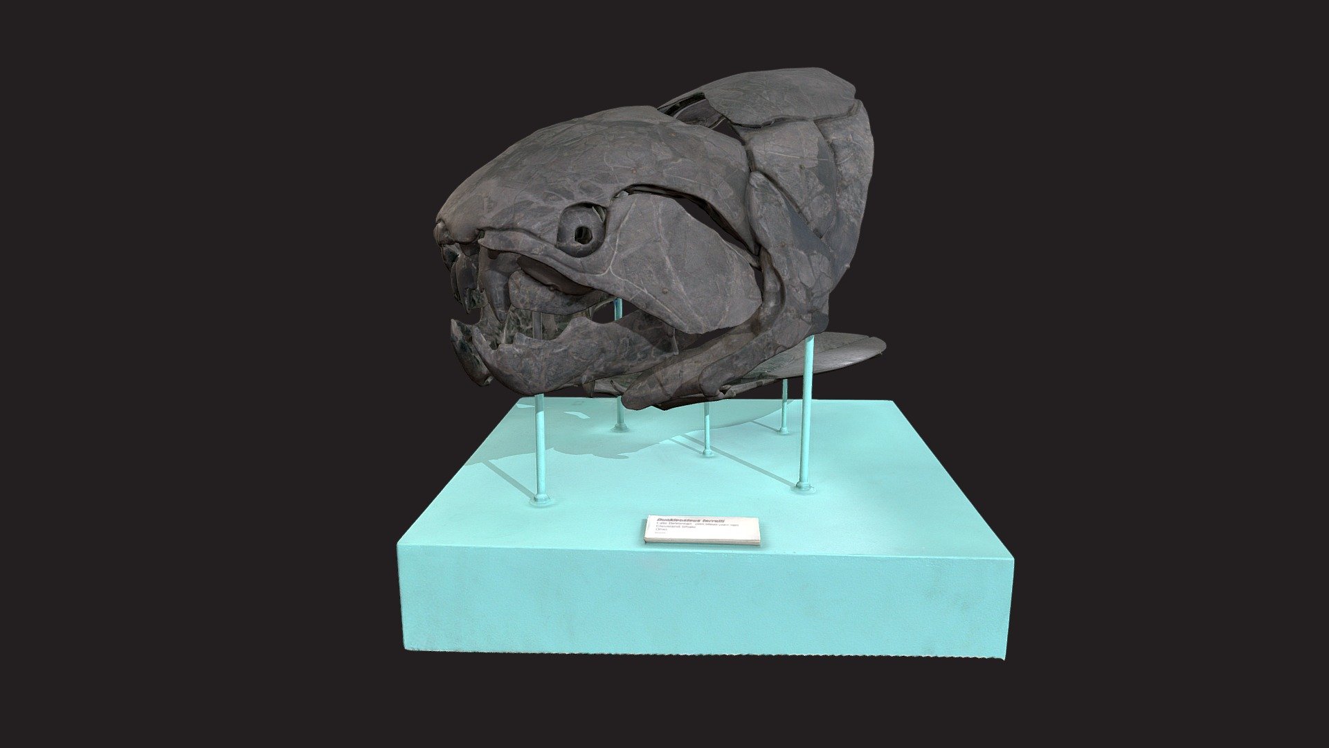 CMNH 7424, Dunkleosteus terrelli - 3D model by Cleveland Museum of ...