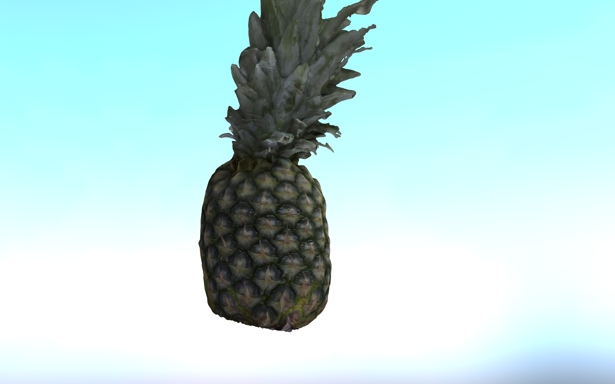 PineApple Final - 3D model by group9 [d1e8144] - Sketchfab