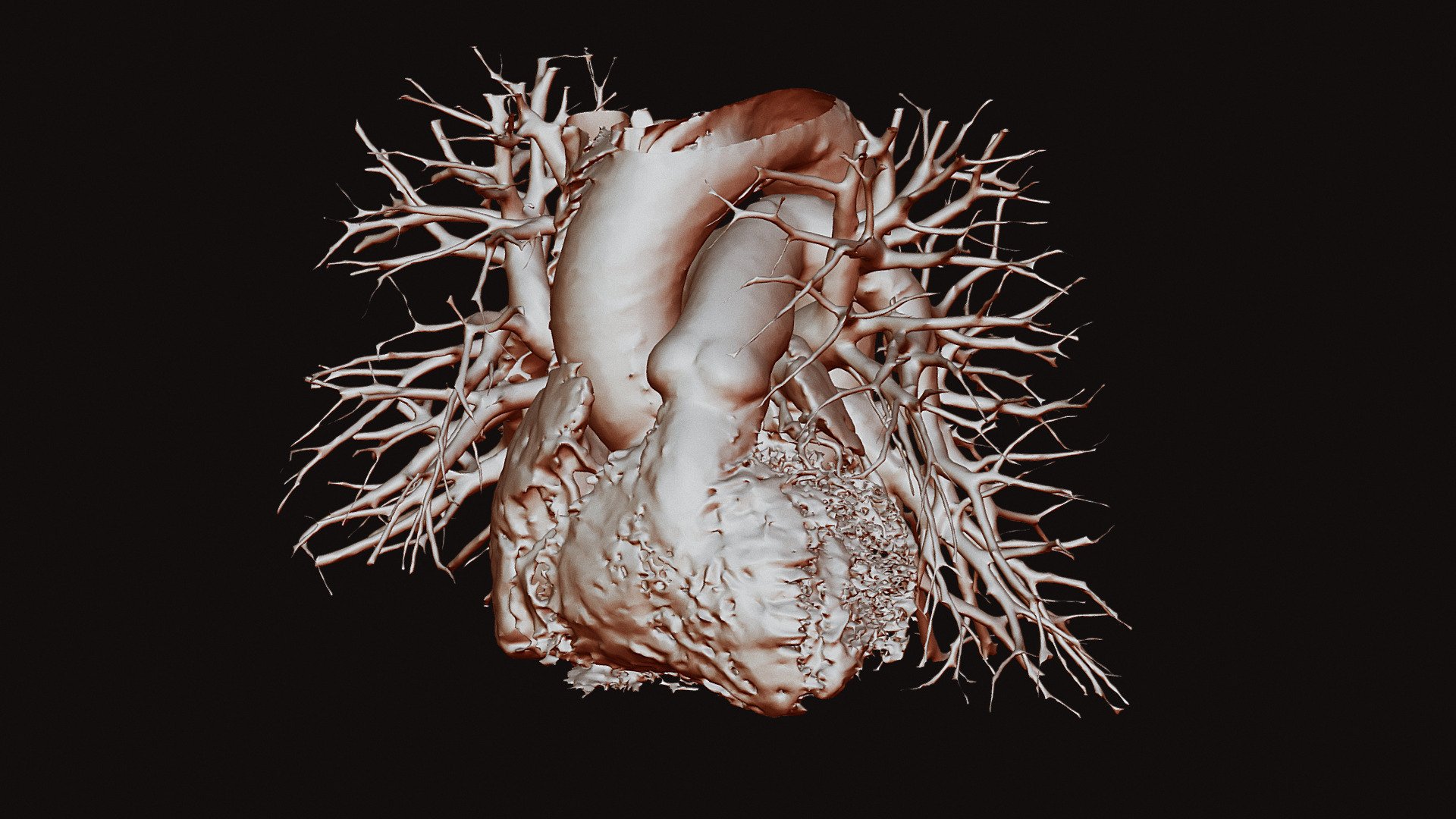 Heart1 - 3D model by Andy Sanchez (@andysanchez) [d1e8ba5] - Sketchfab
