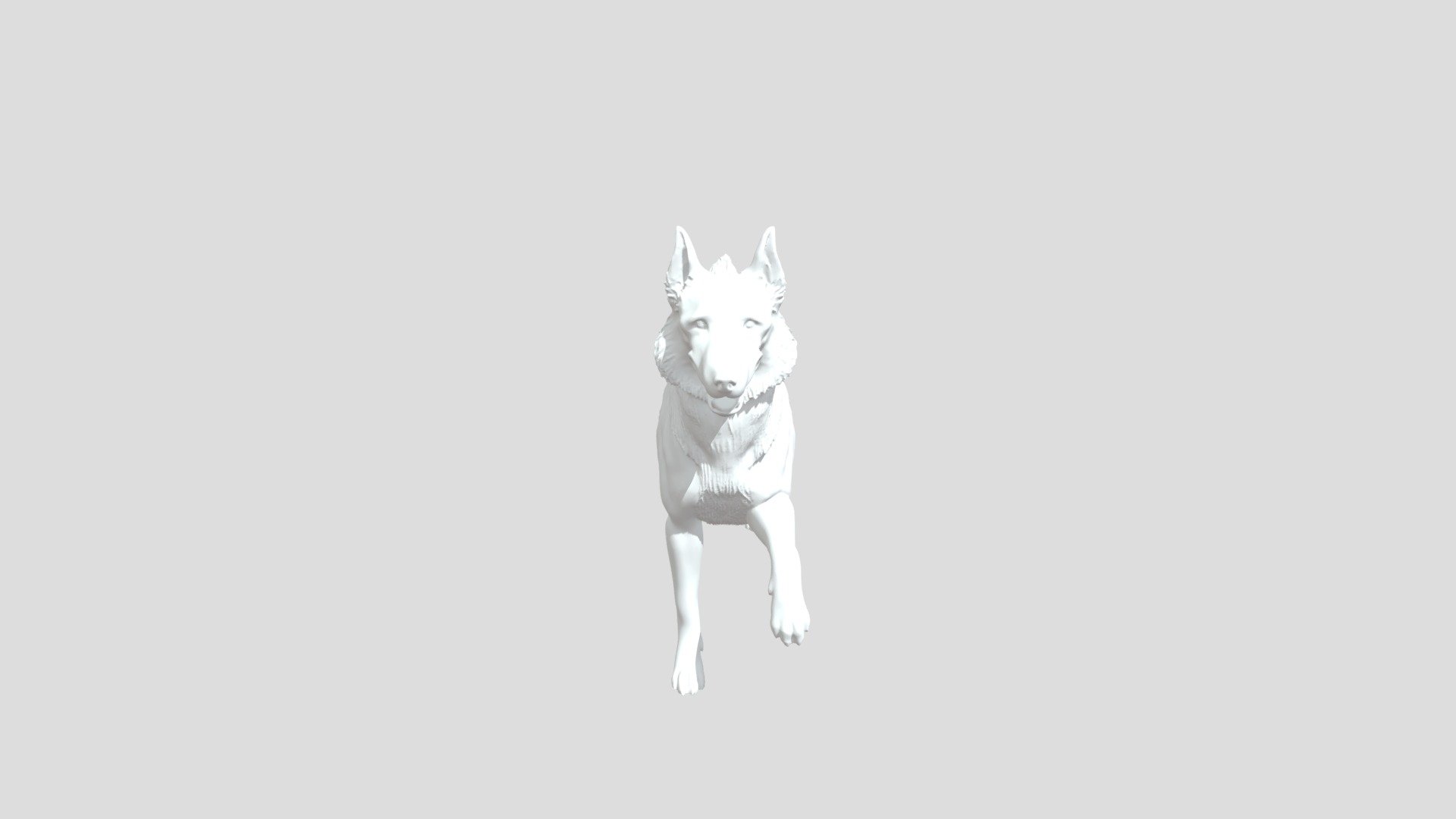 Border Collie - 3D model by Zurvanan [d1e95e0] - Sketchfab