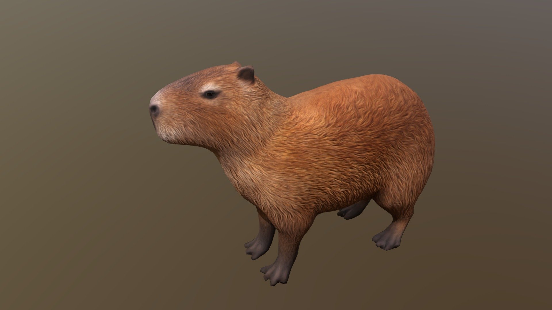 Capybara - Download Free 3D model by kenchoo [d1f2378] - Sketchfab