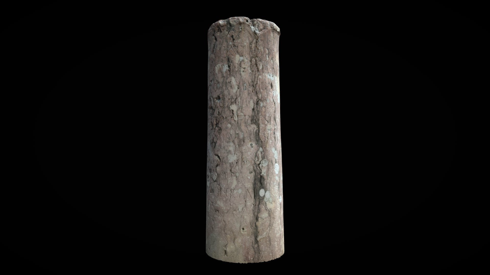 Cipo - 3D model by ester_altamirano [d1f981a] - Sketchfab