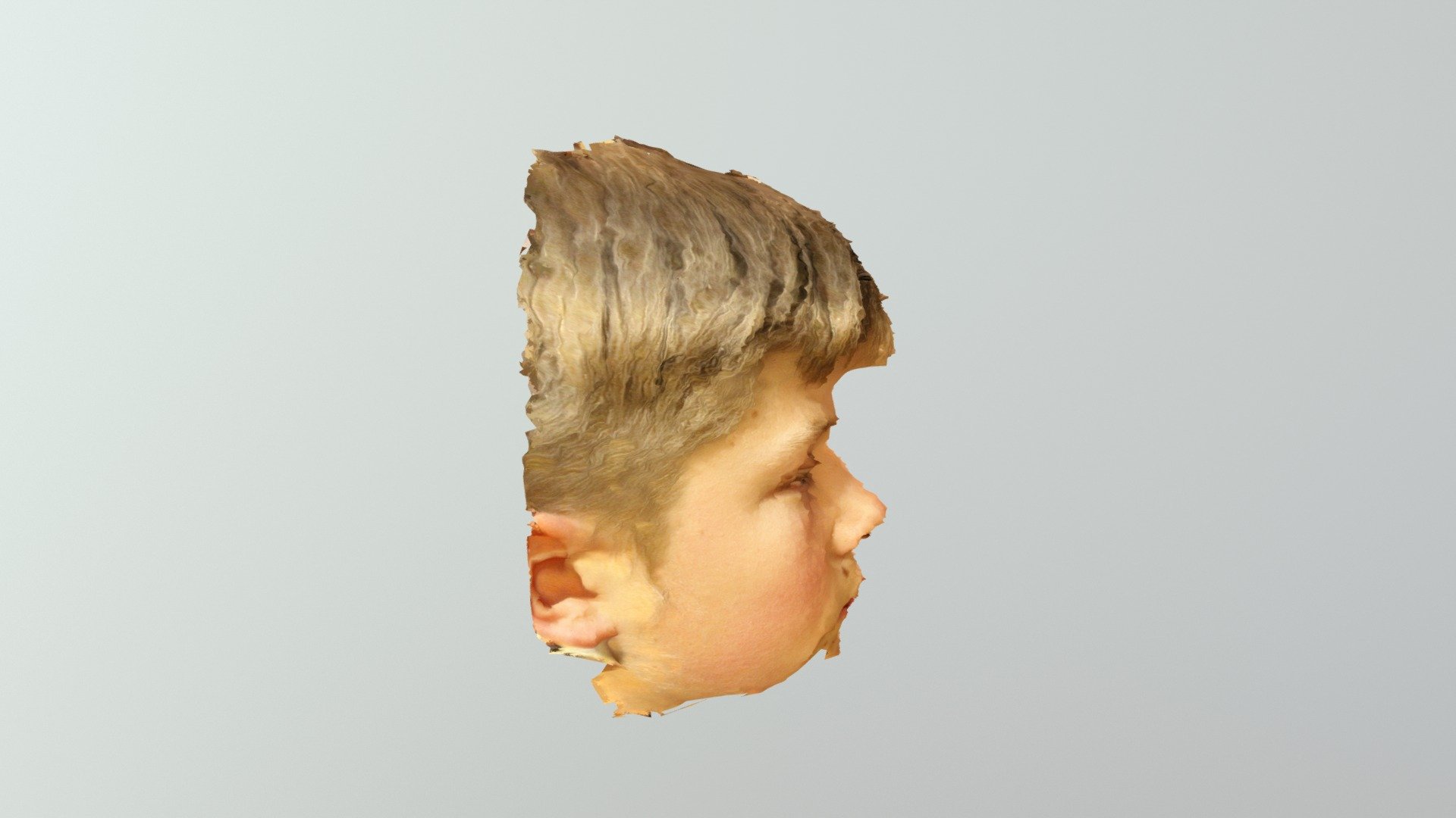 My beautiful 3D reconstruction - Download Free 3D model by jaspigy ...