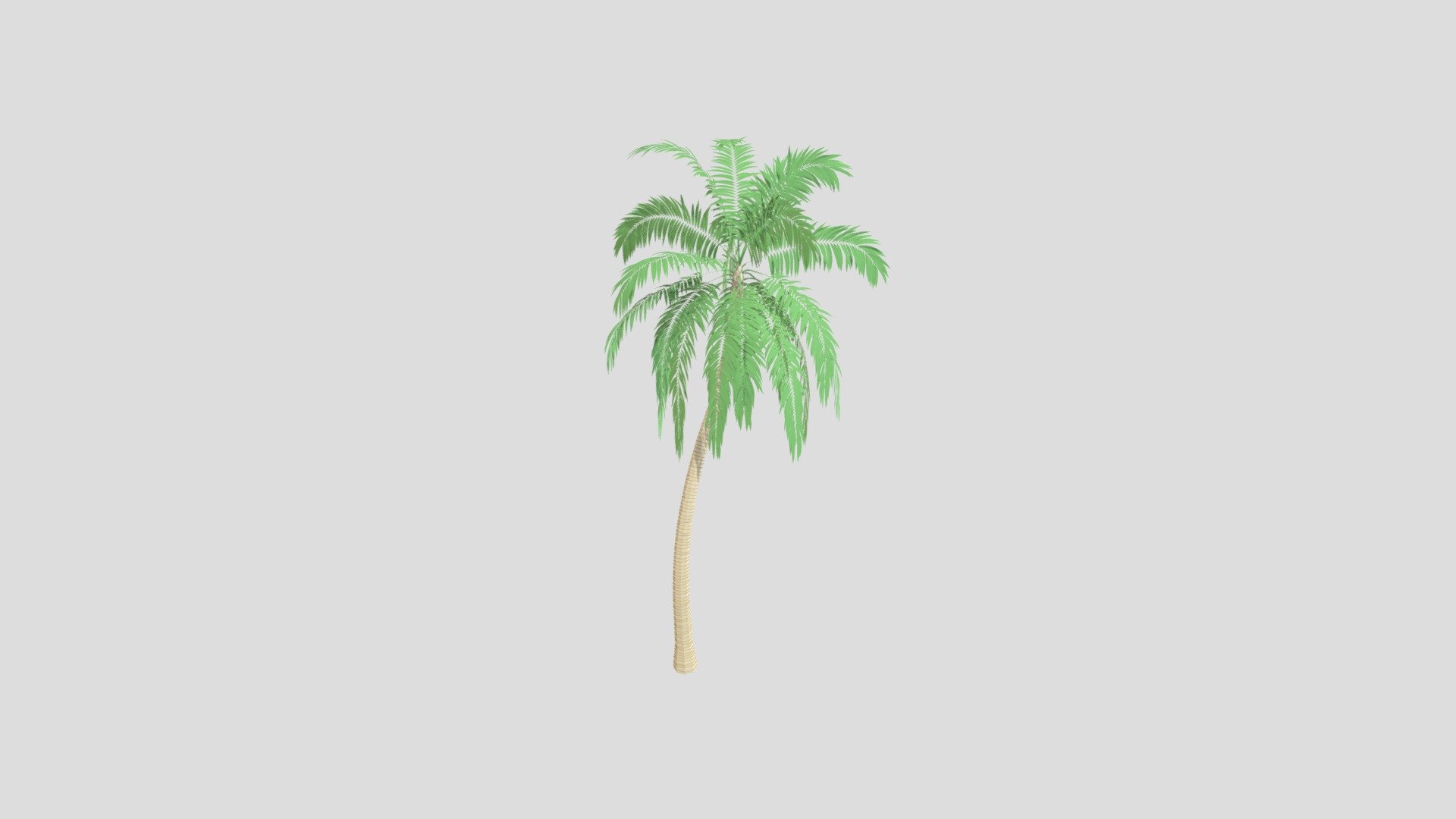 Coconut-Tree - Download Free 3D model by Atharva1212 [d204f1a] - Sketchfab
