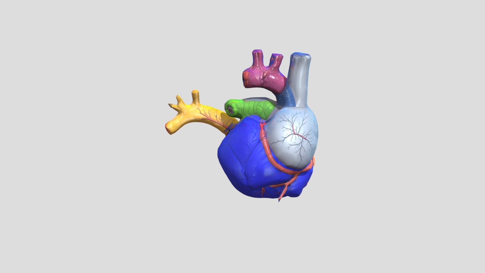 CORAZÓN} - 3D model by jesusfloreswork [d2076f1] - Sketchfab