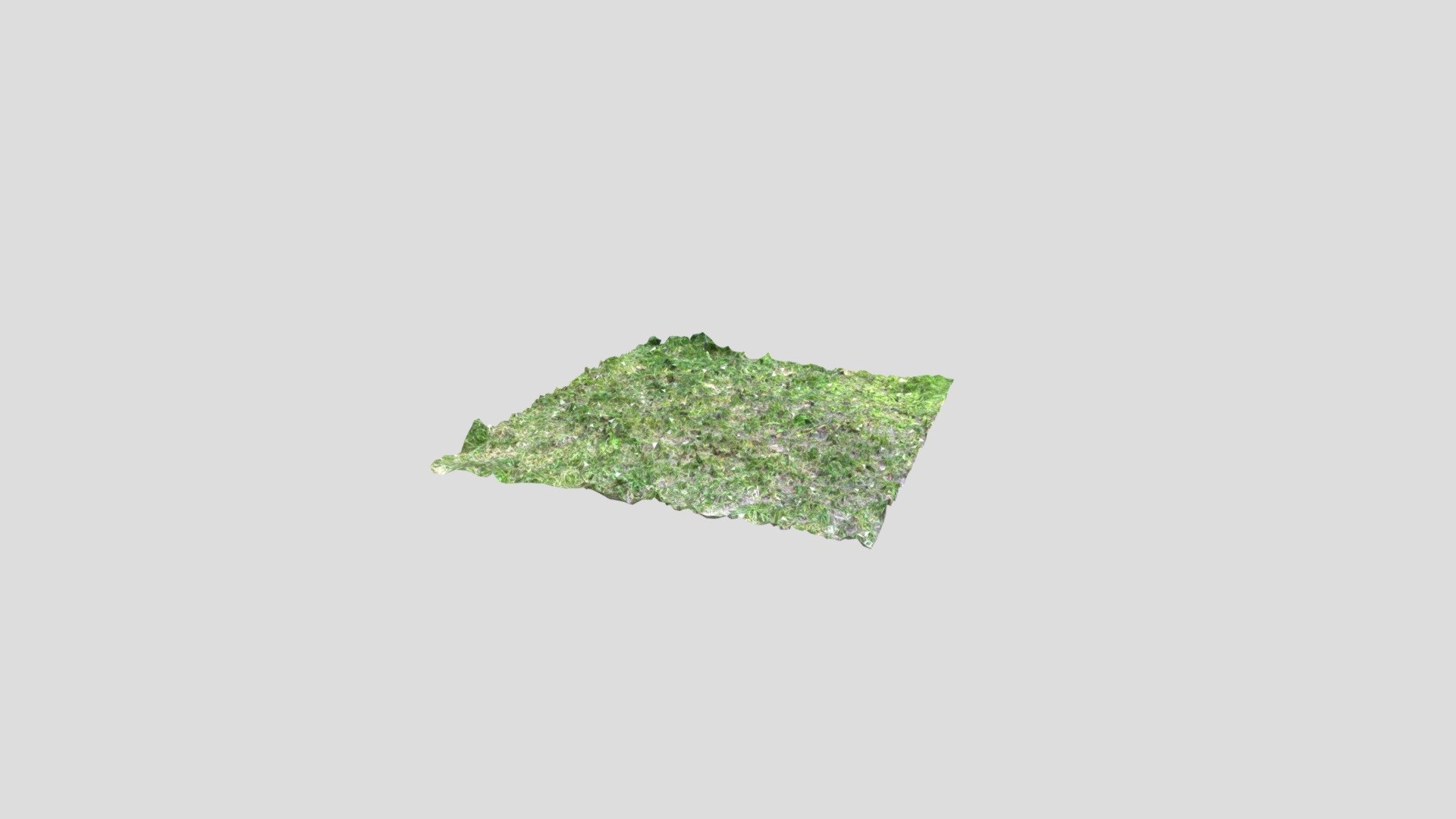 Grass Square 3D Scan - Download Free 3D model by KianA23 [d2159c2] - Sketchfab