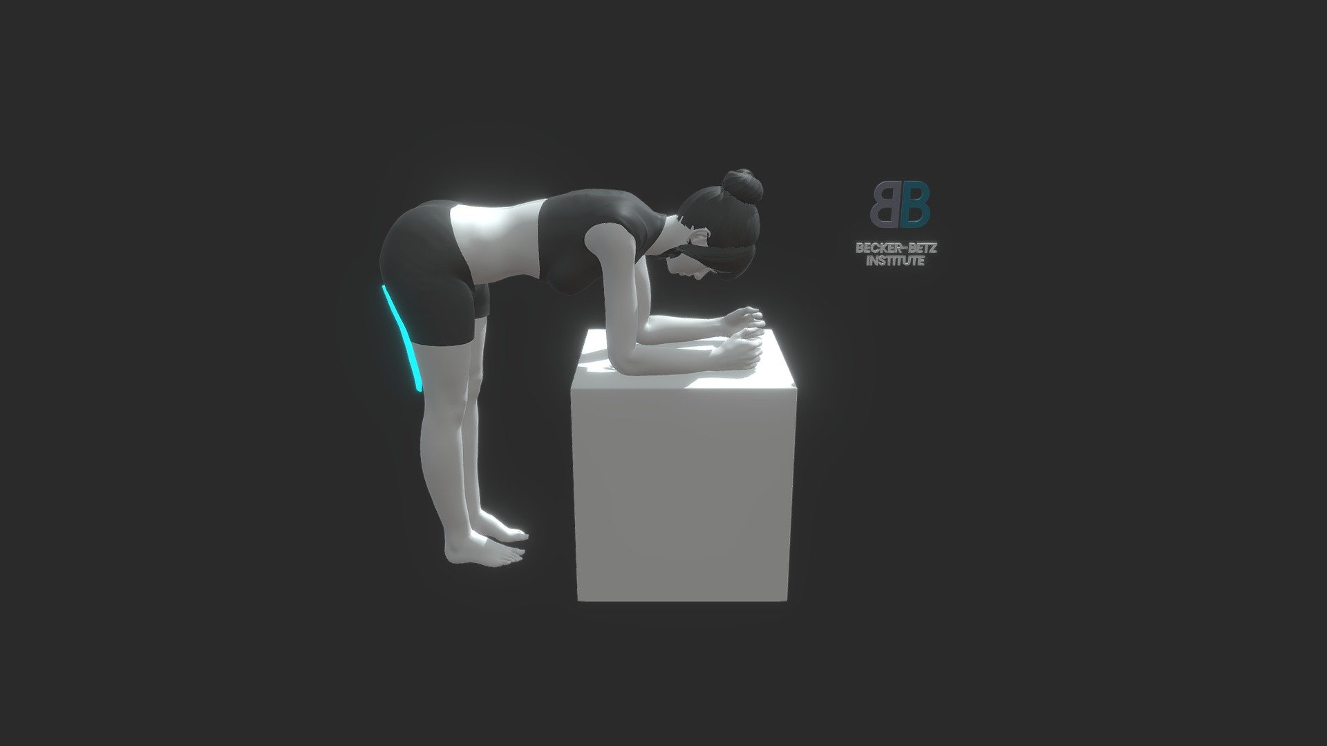 Hamstrings_1_FEMALE - 3D model by BeckerBetz [d2190e0] - Sketchfab