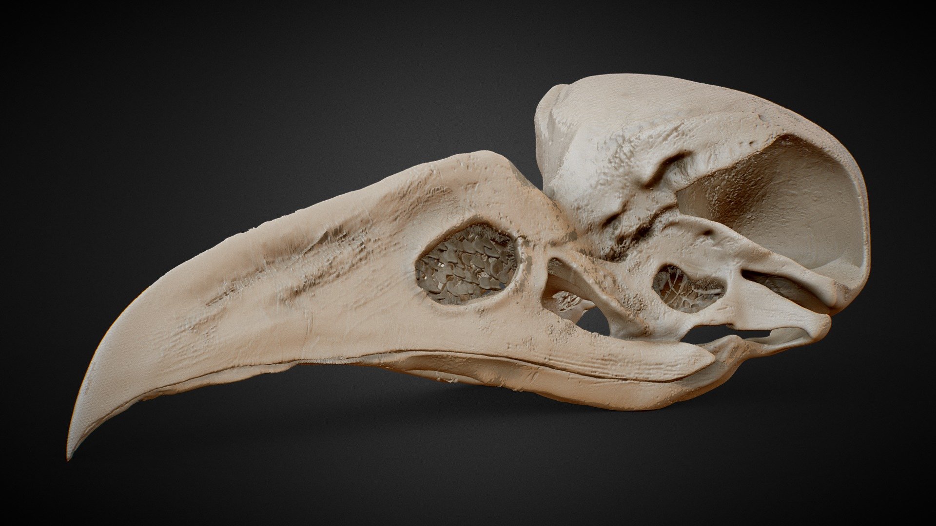 Khonsu Skull | Moon Knight (HIGHT POLY) - 3D model by LLIypuk [d219704 ...