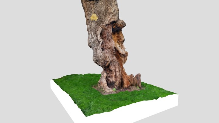 Wounded 3D models - Sketchfab