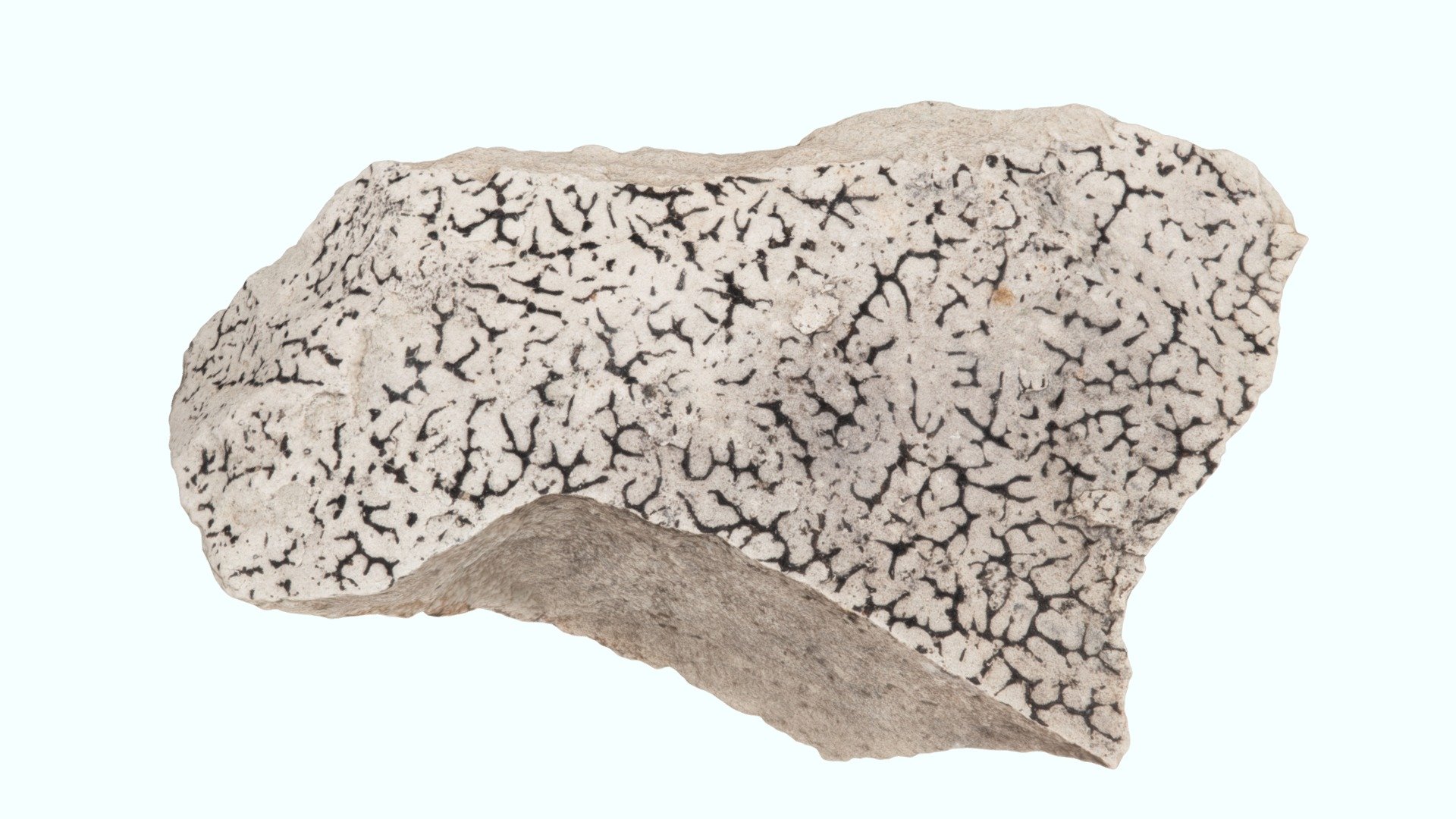 Calcaire à dendrites de bitume - 3D model by Ecole Nationale Supérieure ...