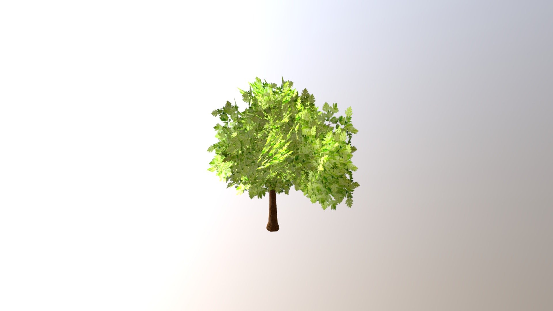 Arvore 05 - 3D model by nat_silva [d227575] - Sketchfab