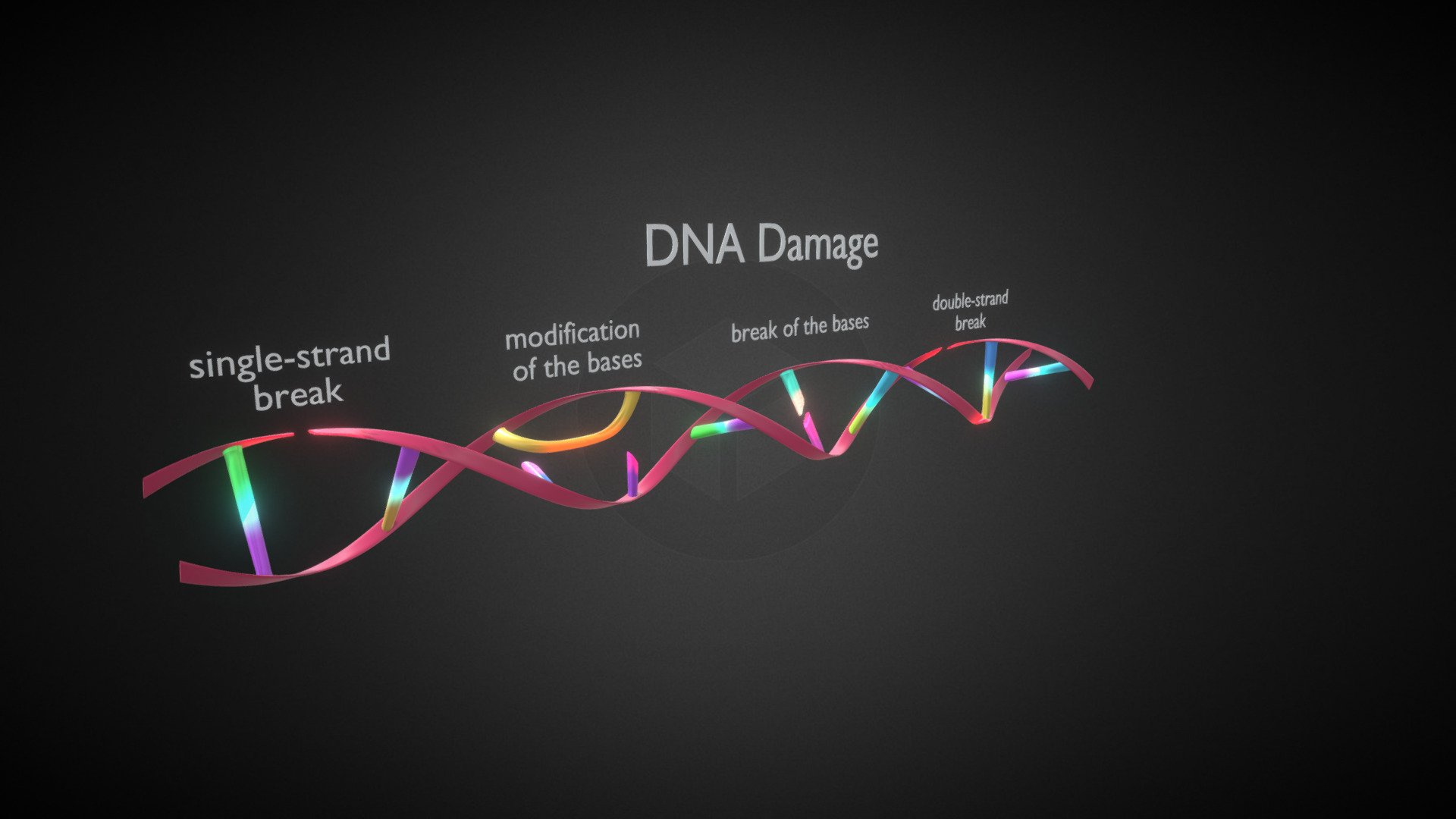 r_DNA - 3D model by Vida Systems (@objects1) [d23485e] - Sketchfab