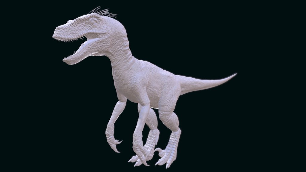 Raptor Model - 3D model by Sunny Dave (@hypersunshine) [d23506a ...
