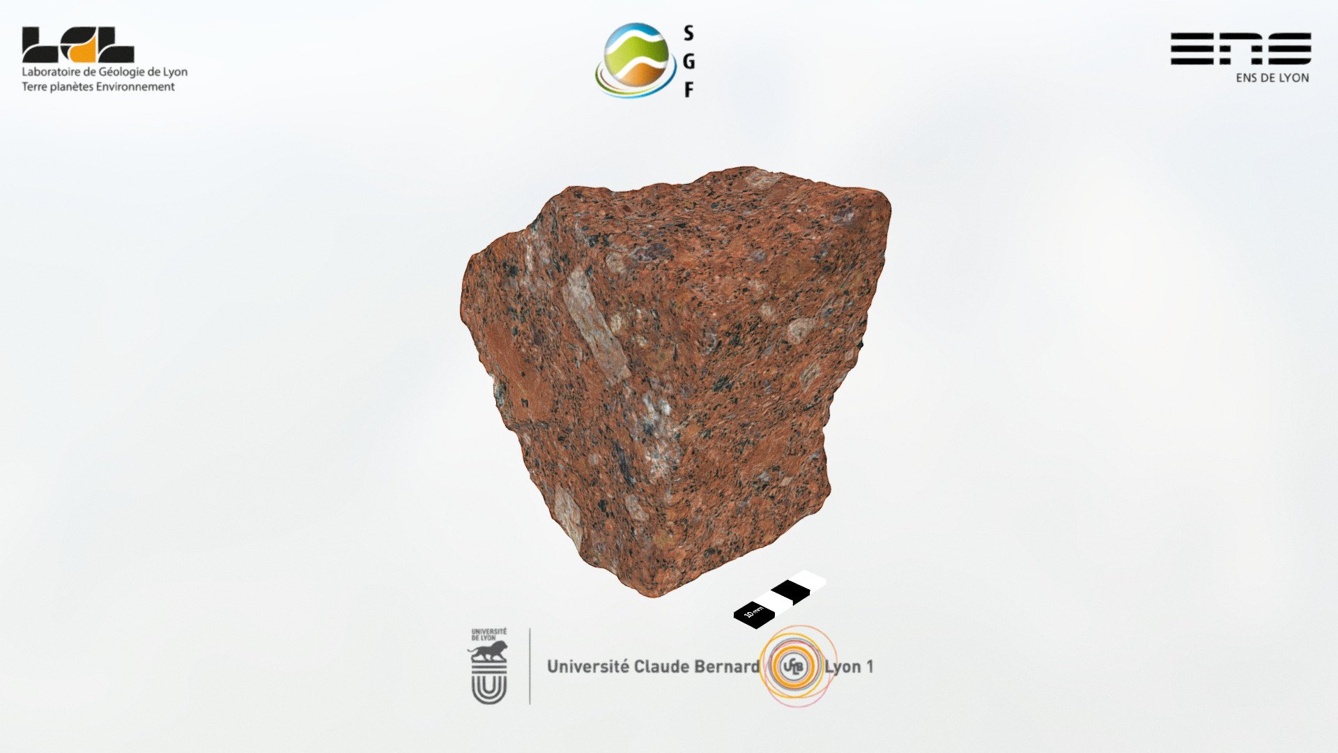 Roche - Microgranite - Download Free 3D model by Société Géologique de ...
