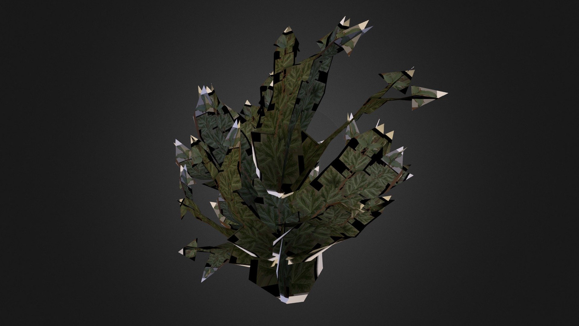 Bush - 3D model by FrancisBouthillier [d23b3ec] - Sketchfab