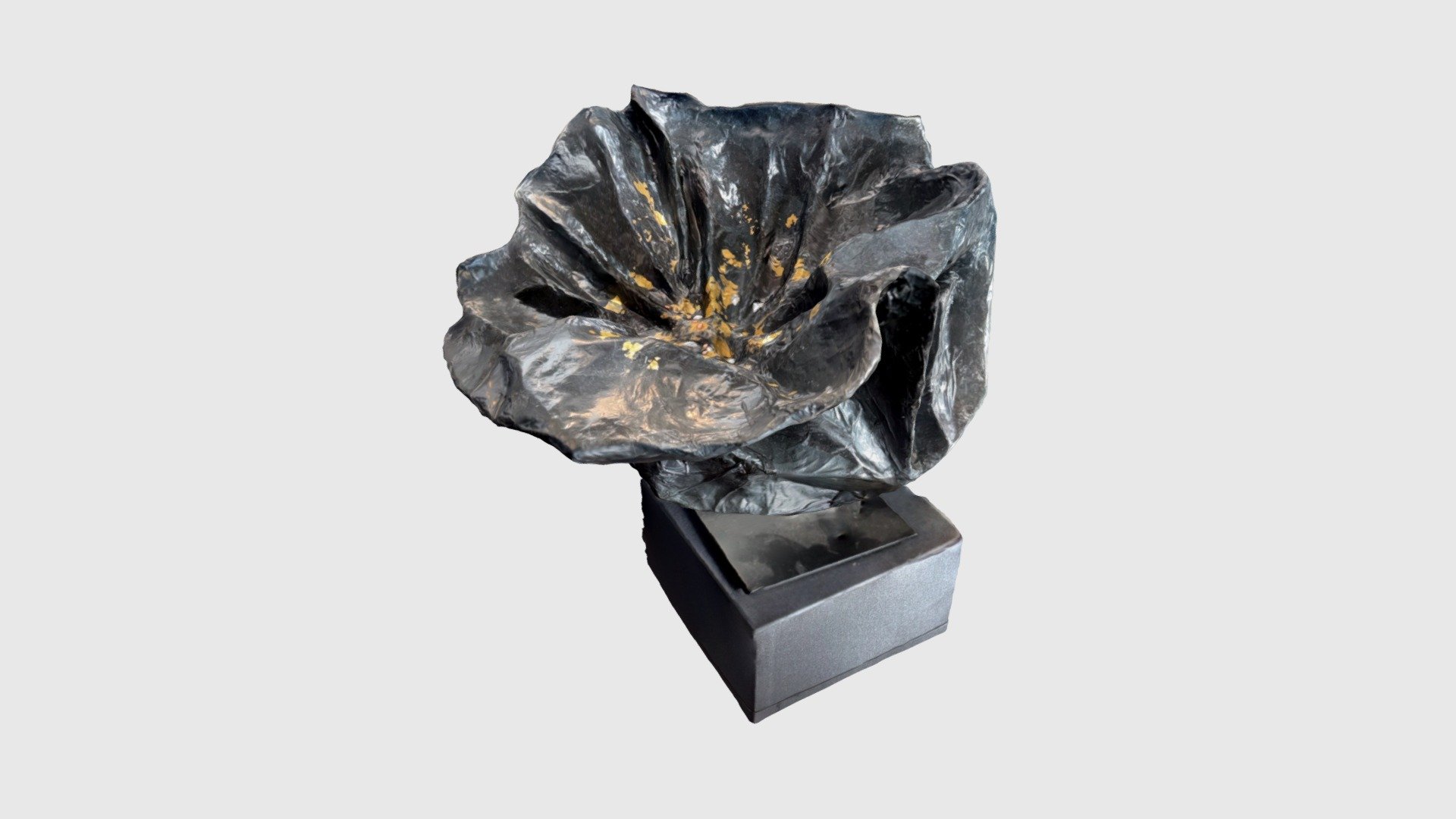 Actinia - 3D model by Sylvie Penet (@SylviePenet) [d23bfd1] - Sketchfab