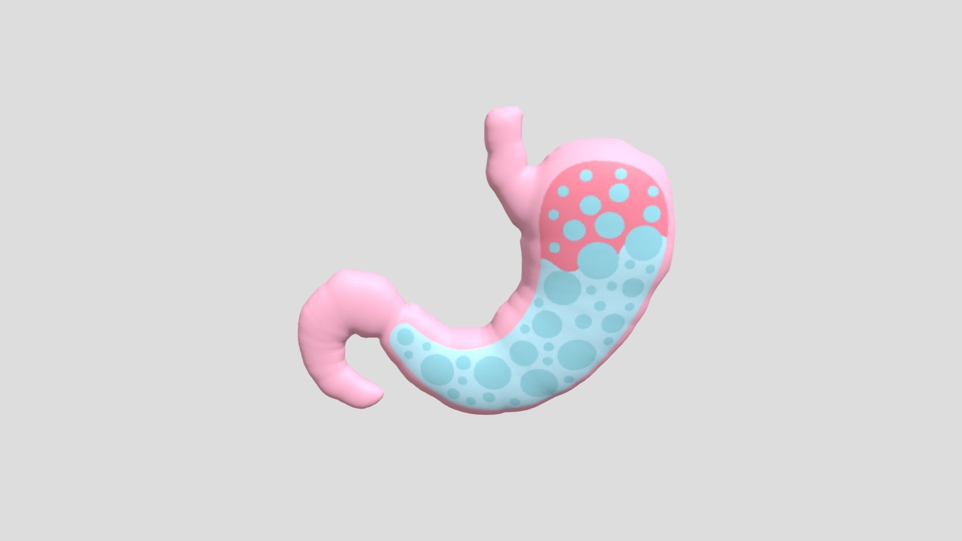 Lambung 3D - Download Free 3D model by riskanursuciayu [d23f414 ...