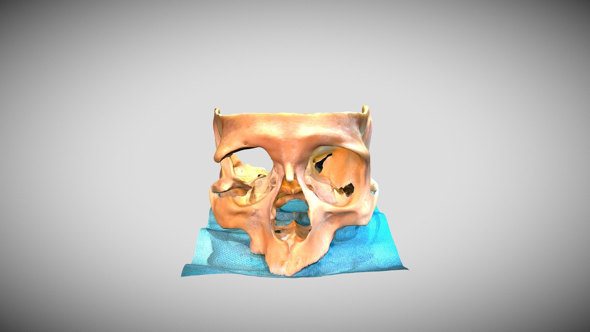 TOA - 3D model by Anonymous (@anonymus.) [d23f9ab] - Sketchfab