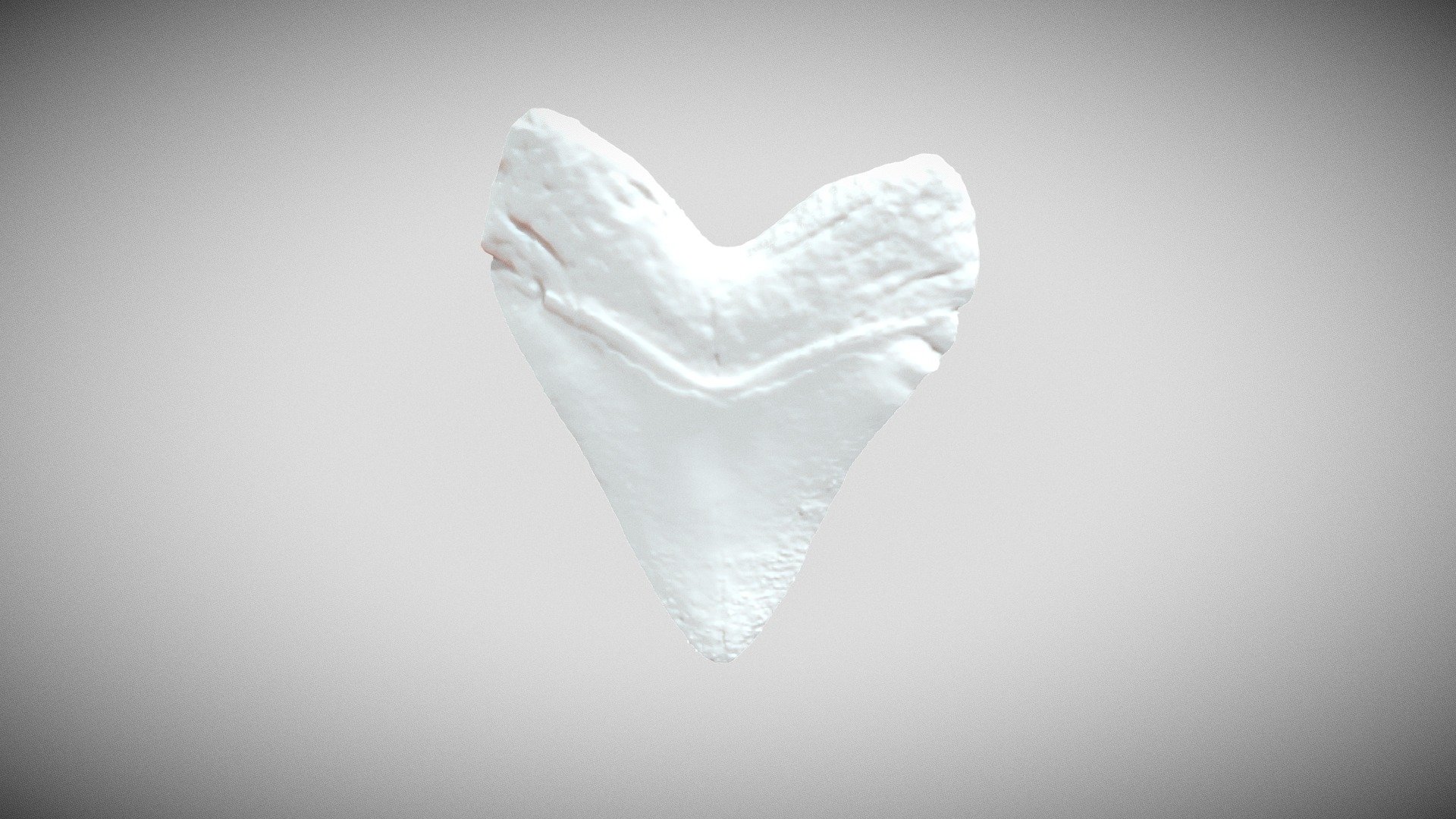 PRI_MegalodonTooth - Download Free 3D model by Felipe Lopes Machado ...