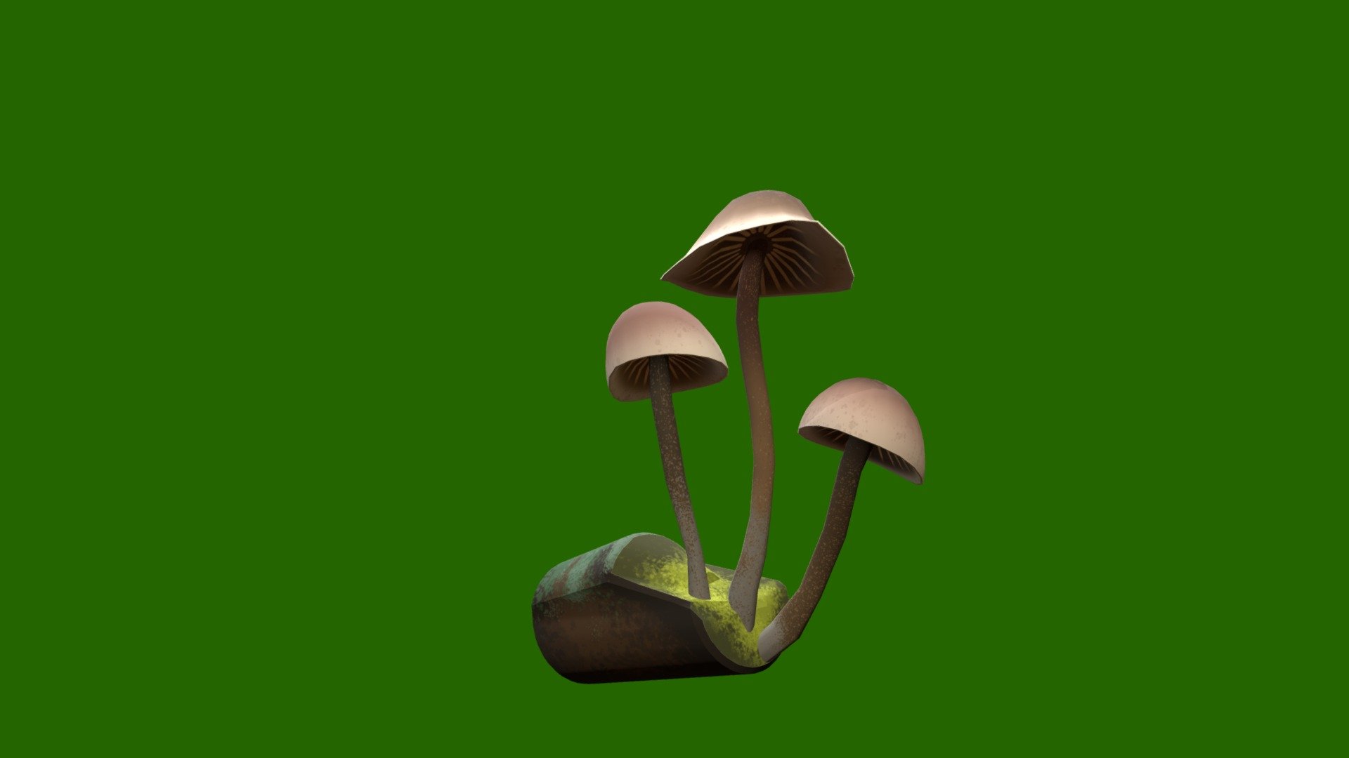 SM_Mushrooms_Jack Hesketh Resubmission Version - 3D model by ...