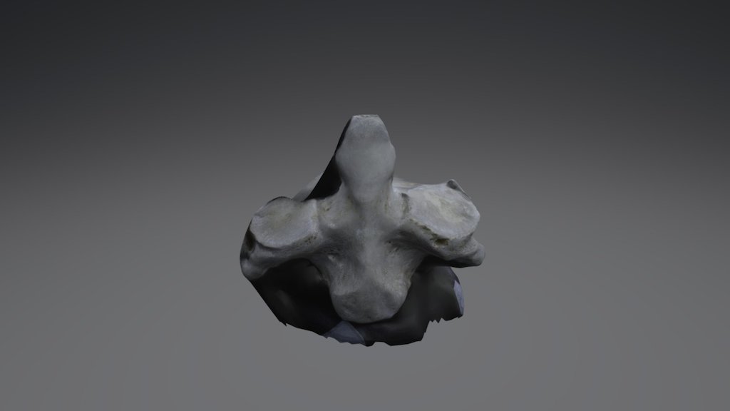 Axis - 3D model by valchanov [d2439e9] - Sketchfab